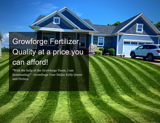 Liquid Fertilizers for Pros & Enthusiasts in Turf and Horticulture – Growforge
